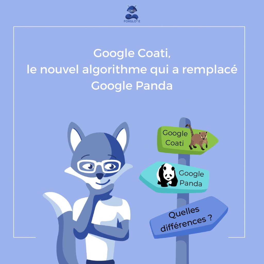 Google Coati, le nouvel algorithme qui remplace Google Panda | Foxglove